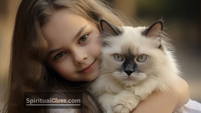 Ragdoll Cat Spiritual Meaning: Symbolic Meanings Unfolded ...