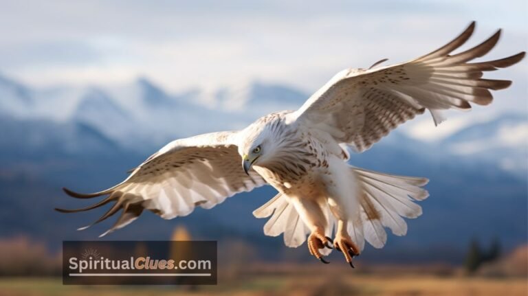 White Hawk Spiritual Meaning: The Sky's Sacred Messenger ...